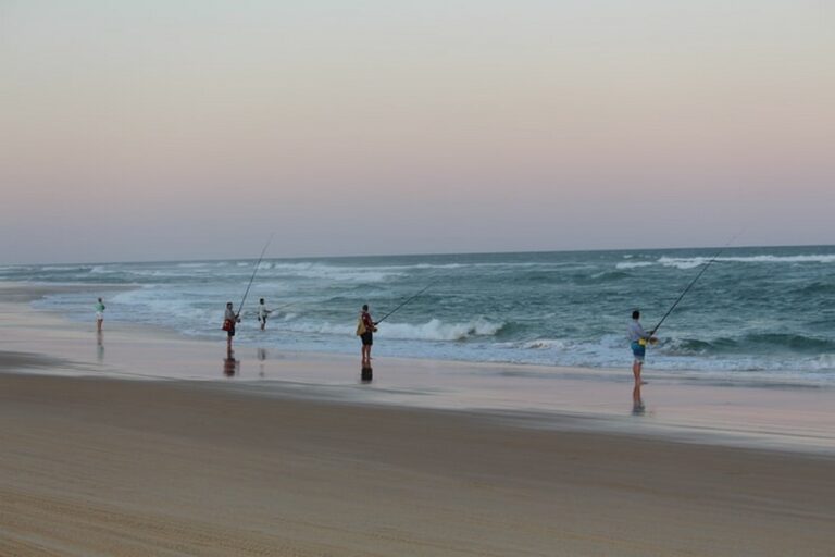 Things To Do In Woodgate Queensland