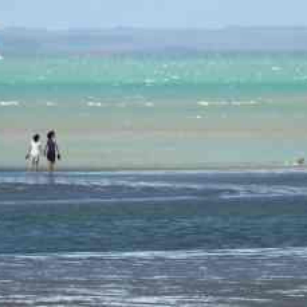 Pialba Beachfront Tourist Park, Hervey Bay Camping