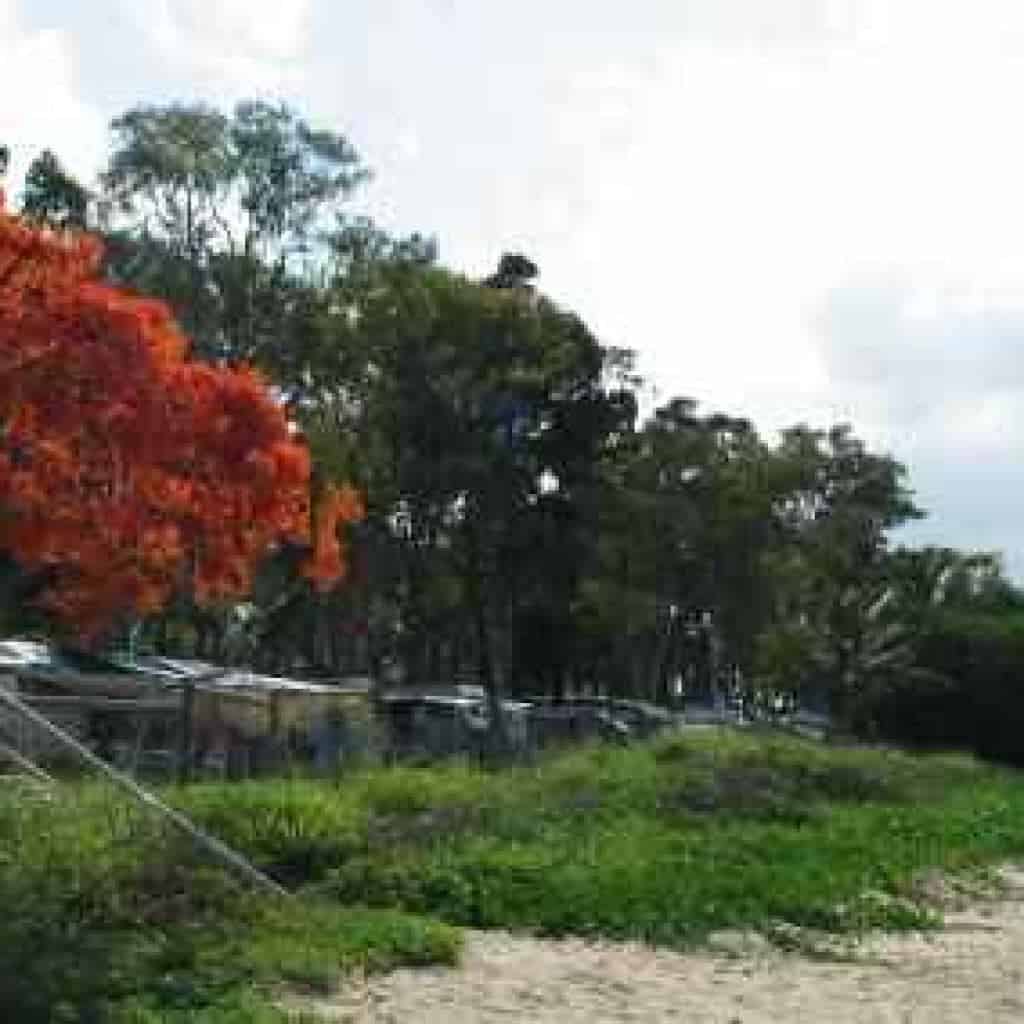 Pialba Beachfront Tourist Park, Hervey Bay Camping