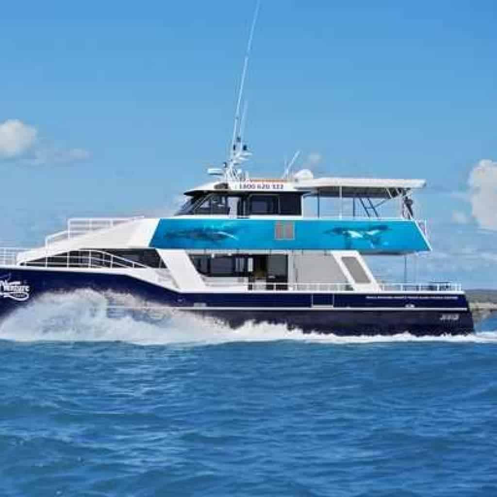 Tasman Venture Adventure Tours On the Water