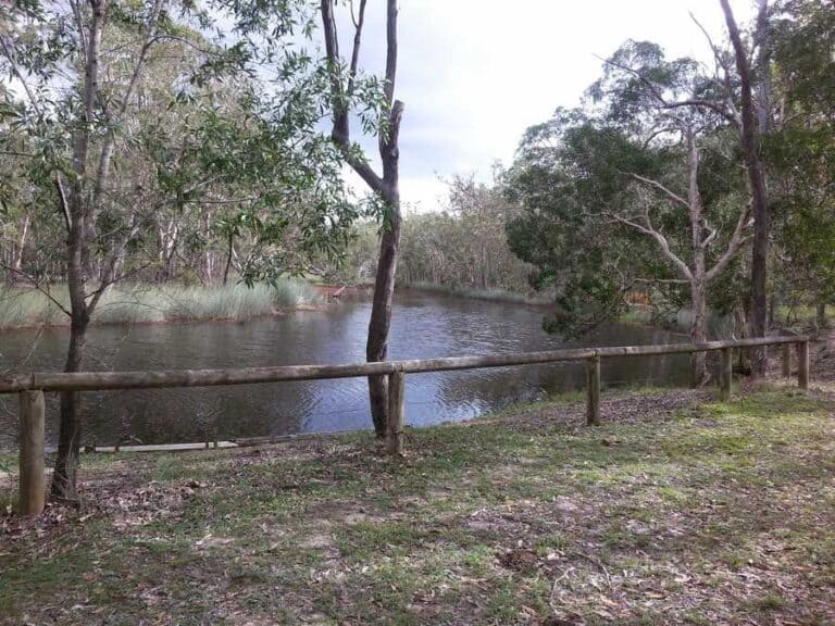 Wongi Waterholes, Camping in the Wongi State Forest
