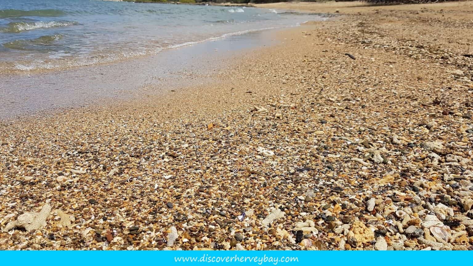 Shells on the Beach, Exploring the Beach and having fun