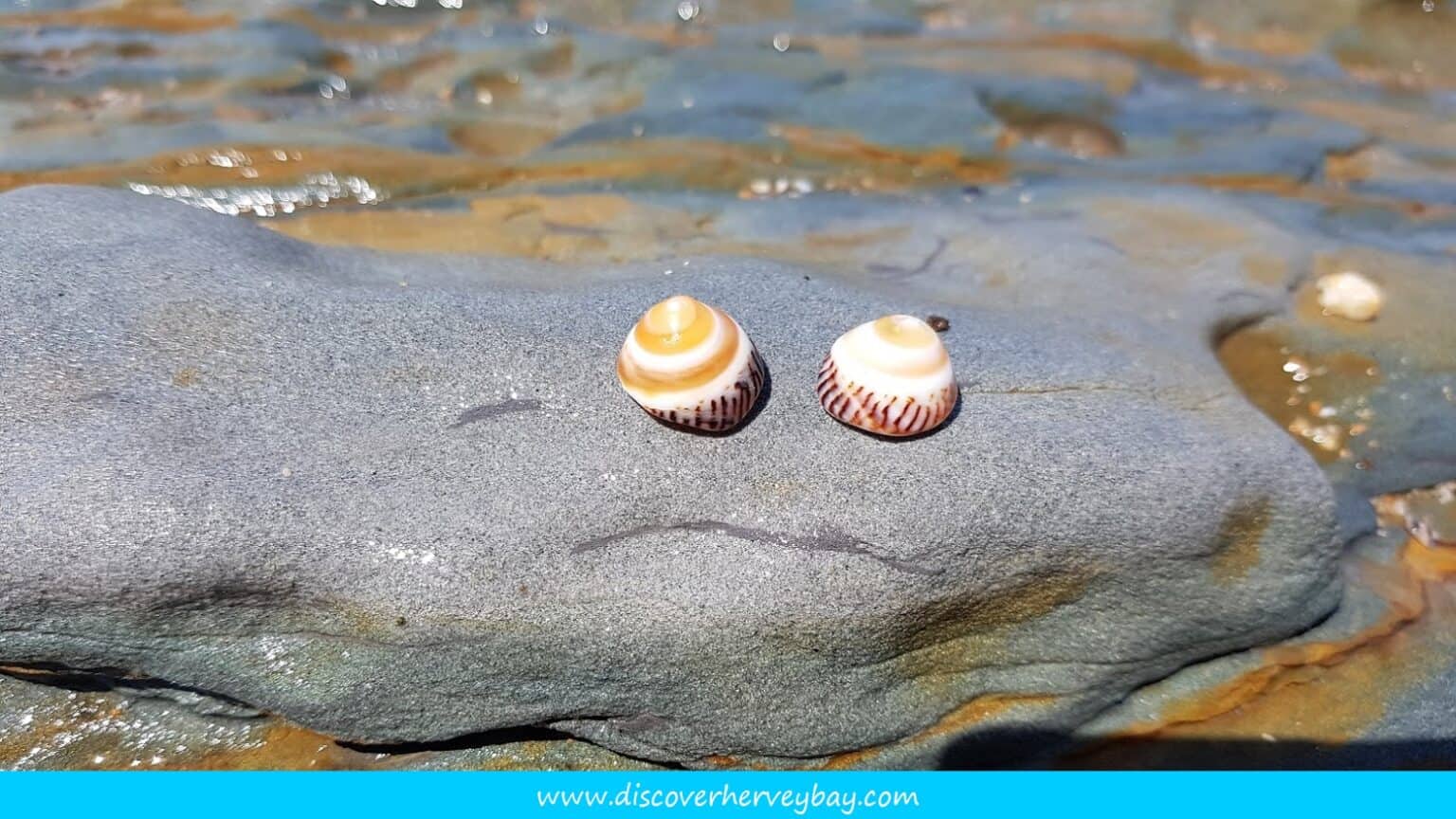 Shells on the Beach, Exploring the Beach and having fun