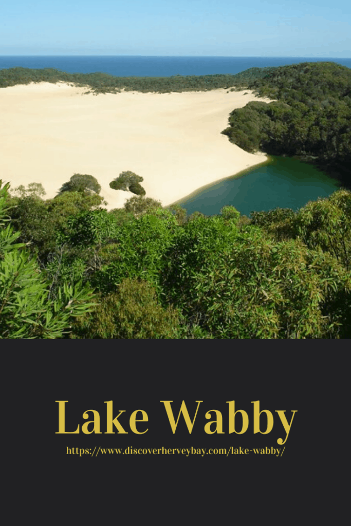 Lake Wabby is the deepest lake on Fraser Island