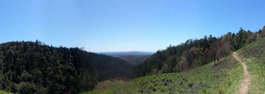 Where to go bushwalking in Australia, Must do tips