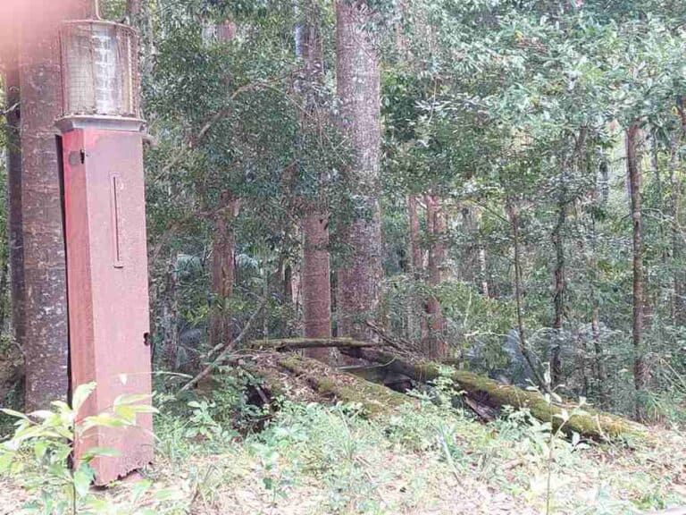 Where To Go Bushwalking In Australia, Must Do Tips