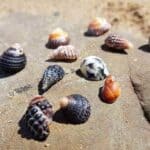 10 Best Fishing Spots in Queensland, Catch that big fish!