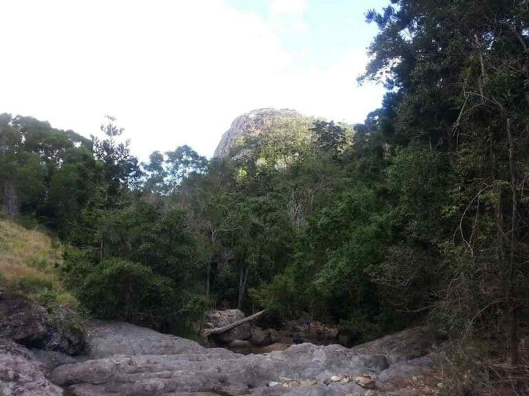 Biggenden Queensland Things To Do And See