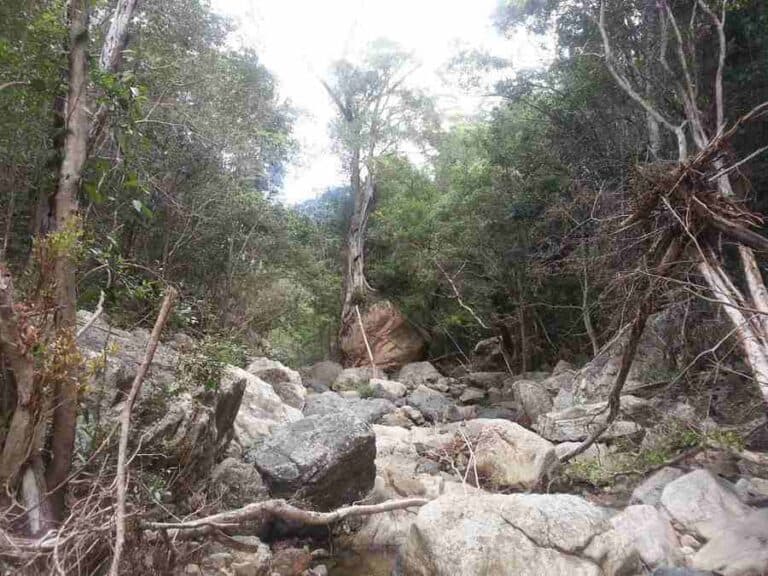 Biggenden Queensland Things To Do And See