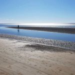 Hervey Bay Botanic Gardens See the amazing wildlife