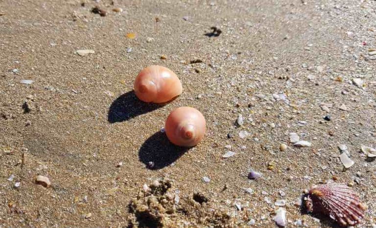 Visit Dundowran Queensland, Dundowran Beach, Weather