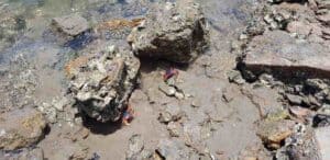 Buxton Queensland, Camping, Fishing, Burrum River