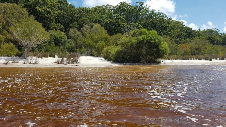 Lake Birrabeen Find The Time To See This Magical Place