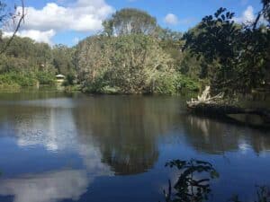 Toogoom,Things To Do In Toogoom Beach