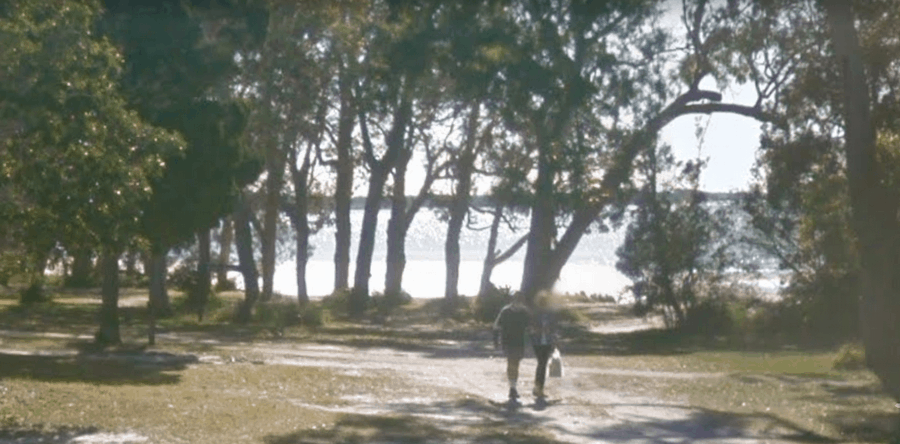 Can You Swim In Tin Can Bay? Yes It's Safe Here