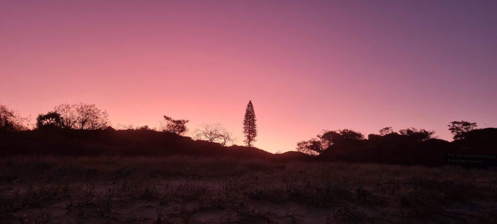Which Australian City Has Best Weather?